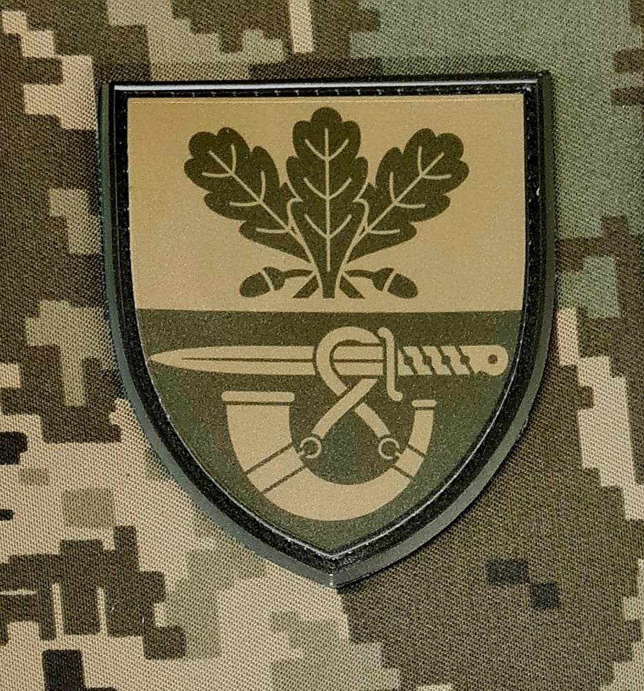 нарукавний знак P61-а Окрема Механізована Степова бригада